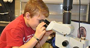 Discovery Day celebrates 20 years with you - Dauphin Island Sea Lab