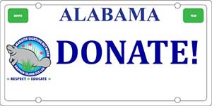 Manatee Sighting Network needs Alabama drivers’ support - Dauphin ...