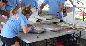 Science at the Rodeo: First female judge, tagged fish returns, and ...