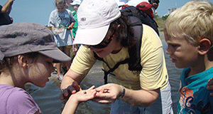 Still time to hop aboard a summer excursion - Dauphin Island Sea Lab