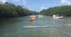 Get into the field with University Programs this summer - Dauphin ...