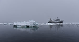 New dataset expands understanding of Arctic Spring Bloom - Dauphin ...