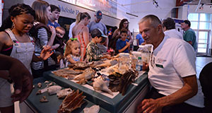 Become a Friend of the Sea Lab today - Dauphin Island Sea Lab