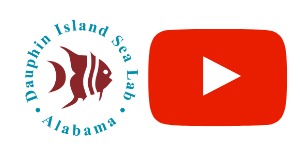 Get connected with DISL on YouTube - Dauphin Island Sea Lab