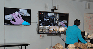 Discovery Hall Programs offers virtual field trip through ACCESS ...