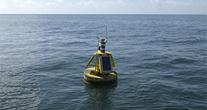 Offshore buoy delivers real-time data to you - Dauphin Island Sea Lab