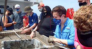 DHP makes plan for full summer schedule - Dauphin Island Sea Lab